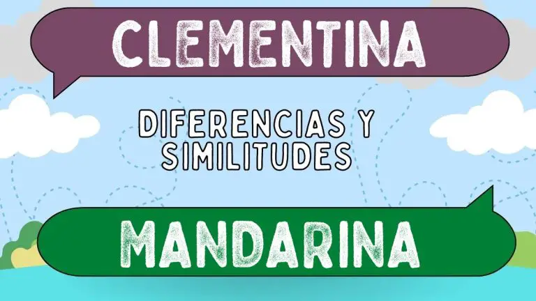 Diferencias entre clementina y mandarina