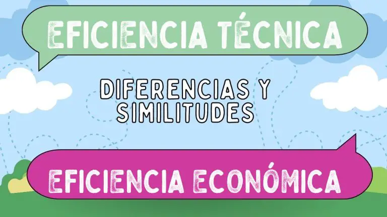 Diferencias entre eficiencia técnica y eficiencia económica