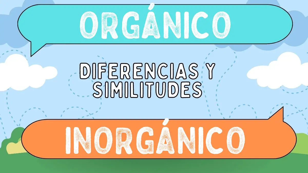 Diferencias entre orgánico y inorgánico